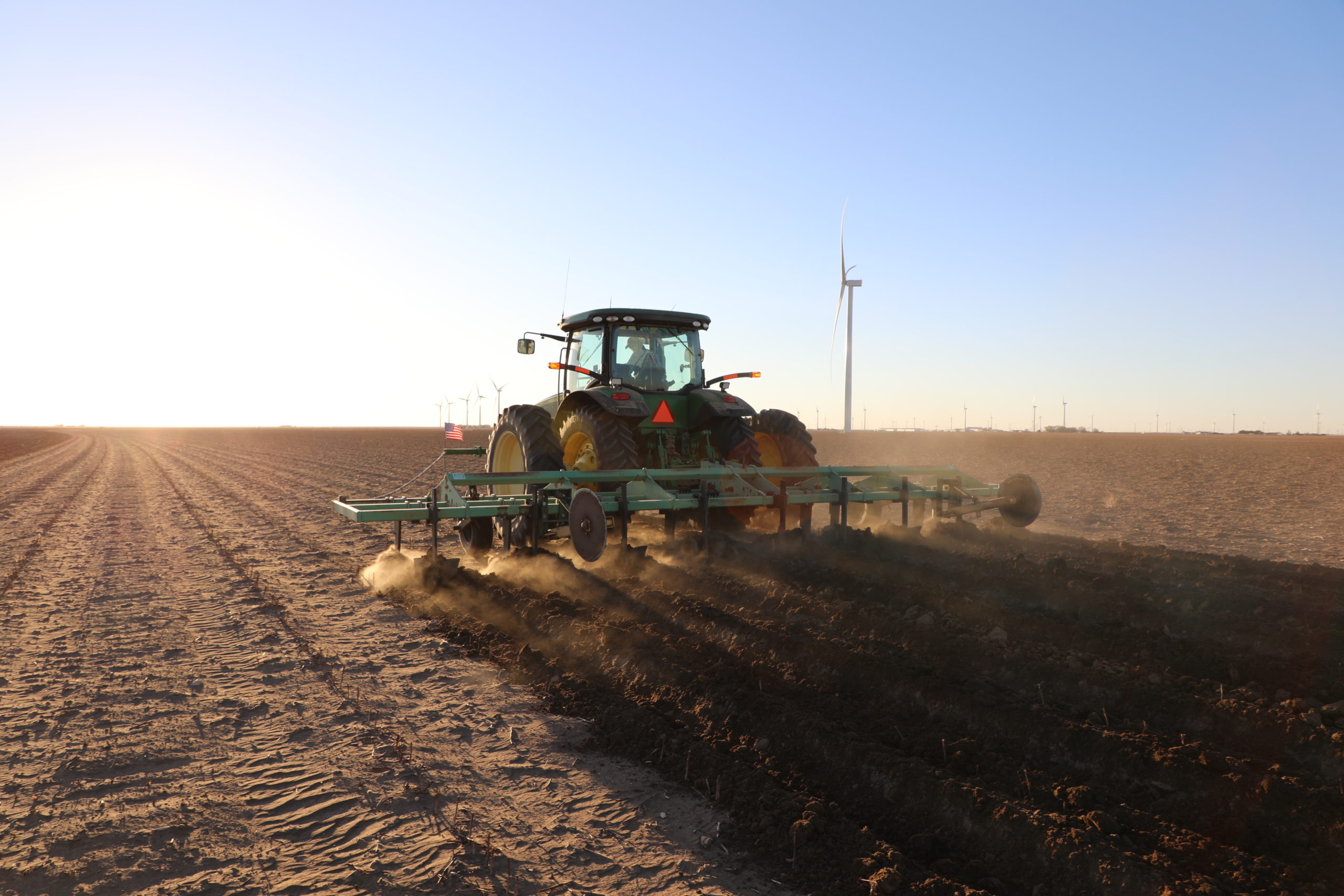 Cotton Pickings | Plains Cotton Cooperative Association