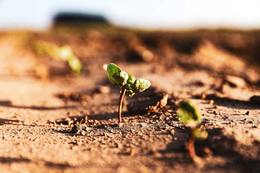 Exploring Opportunities to Grow with PCCA | PCCA | Field & Fiber