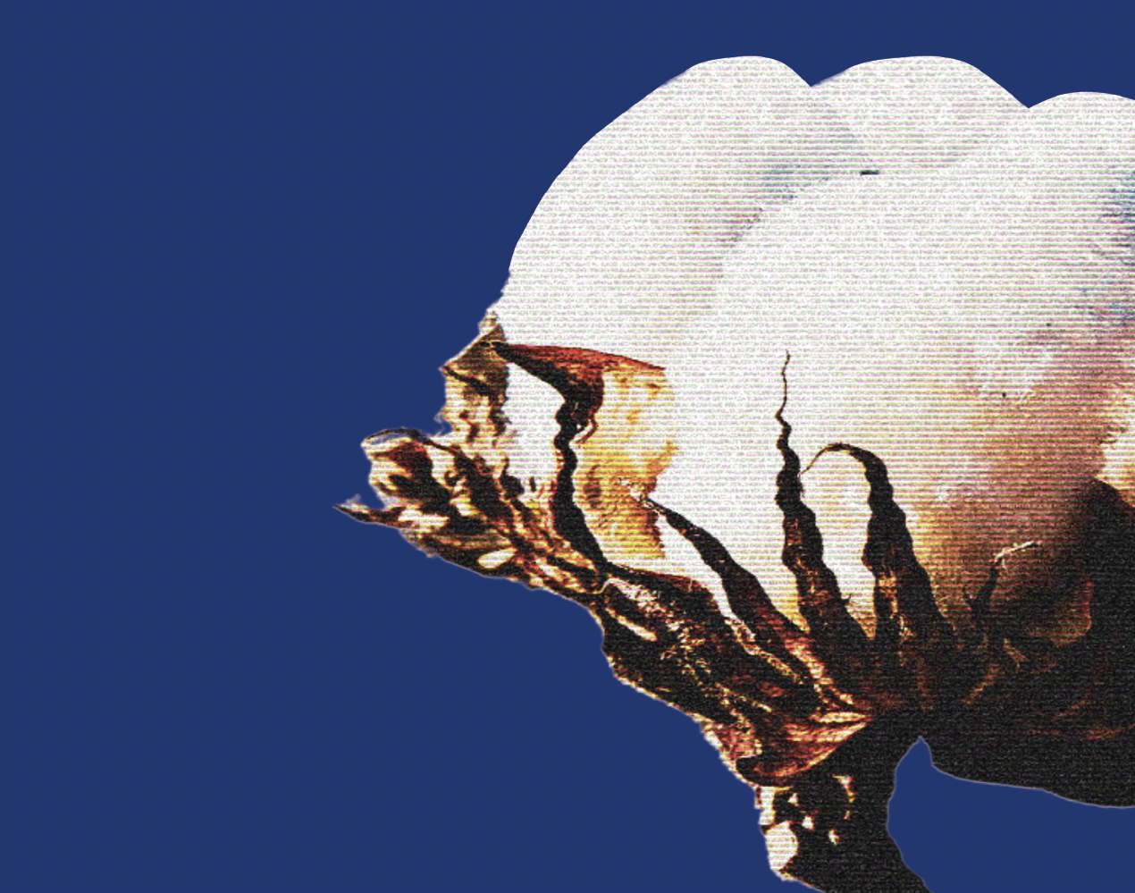 Boost Your Farm's Resilience and Profits | PCCA | Field & Fiber