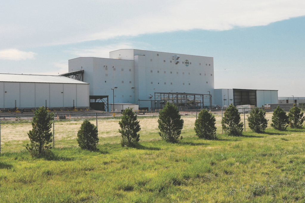 From Raw to Refined: How Bayer Delivers the Future of Cotton From ...