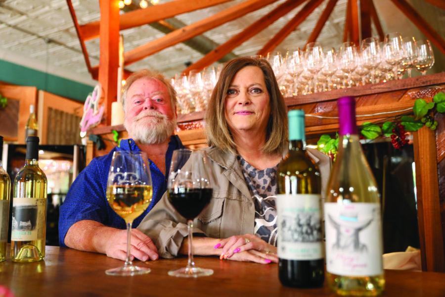 From Cotton Roots to Vineyard Rows: Ty & Mary Wilmeth | Plains Cotton ...